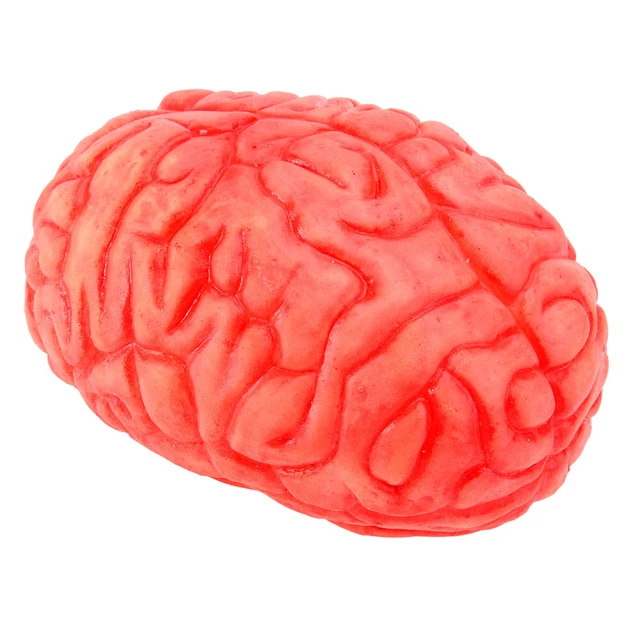 FAKE BODY PARTS Brain Fancy Dress Lifesize Skeleton Halloween Child Man ...