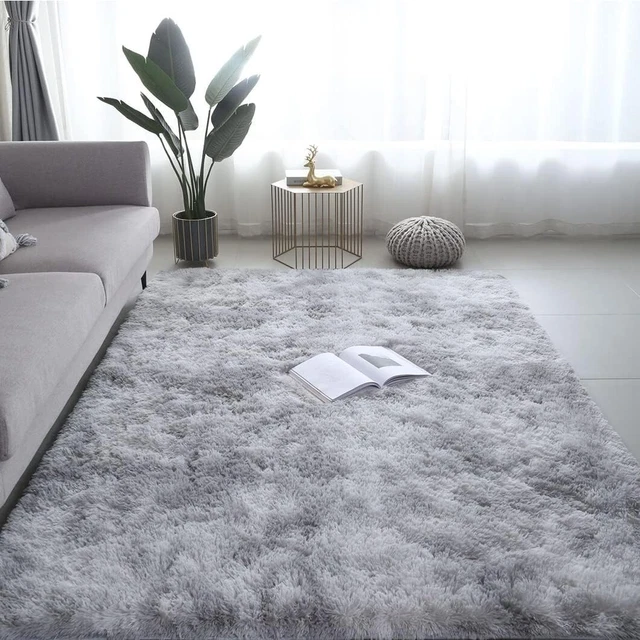 2FT X 4FT Square Soft and Fluffy Area Rug, Fluffy Rugs Cute Floor ...