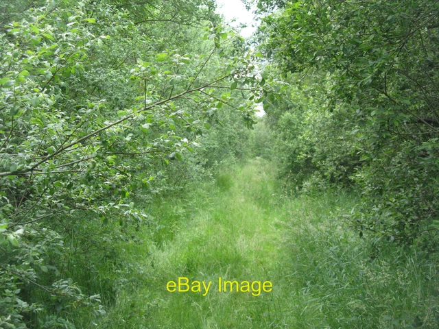 PHOTO 6X4 THE North British Railway at Gordon Moss The track bed of the ...