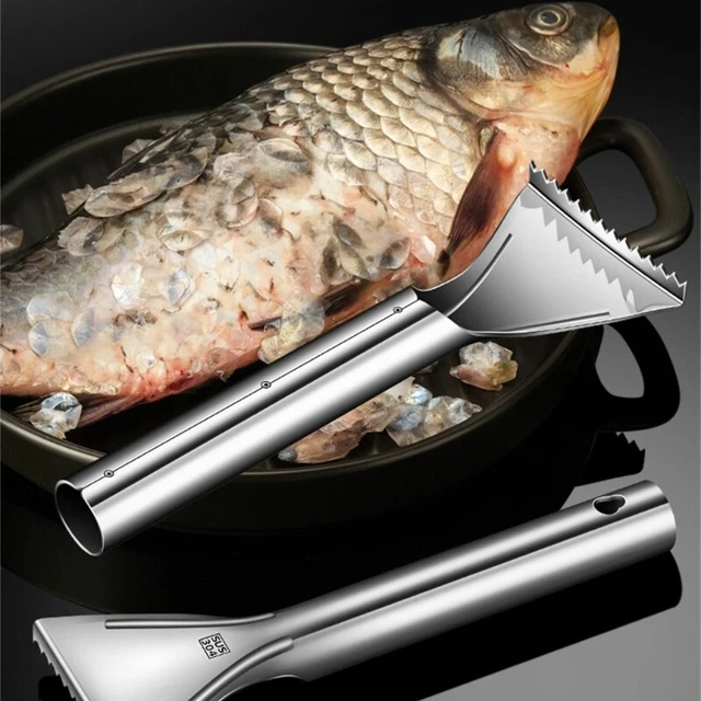 ERGONOMIC FISH DESCALER with Sawtooth Design for Efficient Scaling ...
