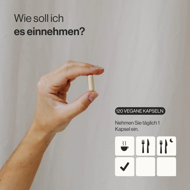 LÖWENMÄHNE EXTRAKT BIO 50% Polysaccharide und 15% BetaGlucane ...