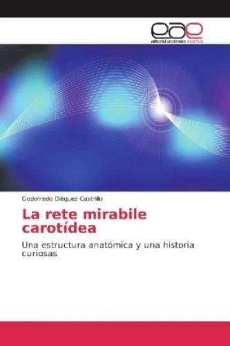 LA RETE MIRABILE carotídea Una estructura anatómica y una historia ...