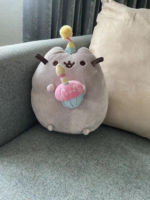 BIRTHDAY PARTY PUSHEEN Plush Cat Kitty Plushie Cuddly Collectable Soft ...