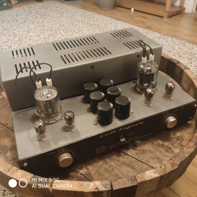 CULT FIGURE VALVE Tube Power Amplifier 829b Tubes Faulty For Parts £33. ...