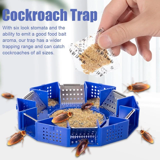 INSECT BUG TRAP Catcher Cockroach Ant Bed Bug Flea Box Catching V2E6 ...