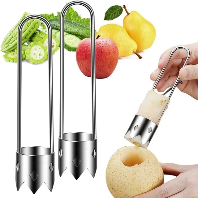 STAINLESS STEEL CORER to Remove Pear Cores, Fruit Cores, Vegetable ...