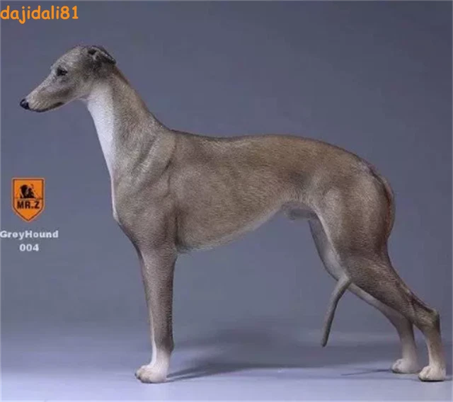 MR.Z 1/6 GREYHOUND Pet Dog Animal Model Resin Figure Decor Ornament ...