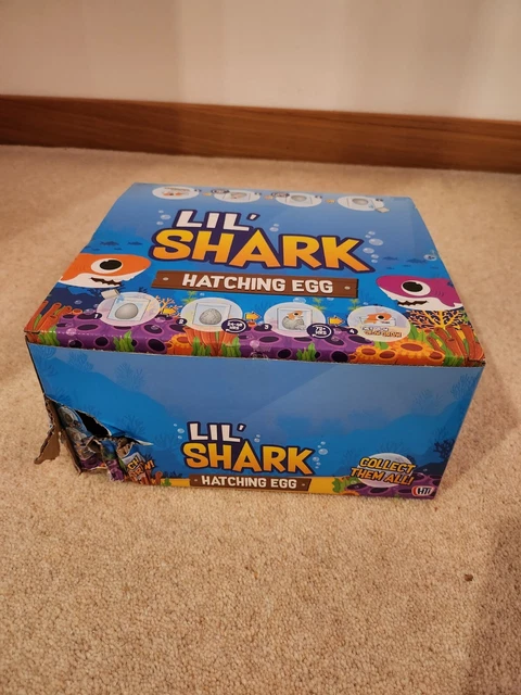 *NEW* 12X LIL' Shark Hatching Egg - Just Add Water (DAMAGED BOX) £15.00 ...