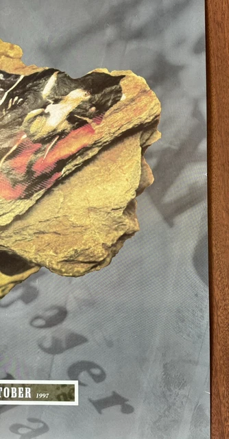 PIXIES - DEATH To The Pixies 1997 Original Promo Poster 420mm x 585mm ...