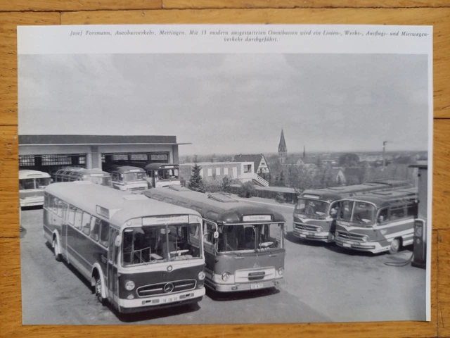 METTINGEN, JOSEF FORSMANN, Omnibus, Mercedes O322, Magirus, Abbildung ...