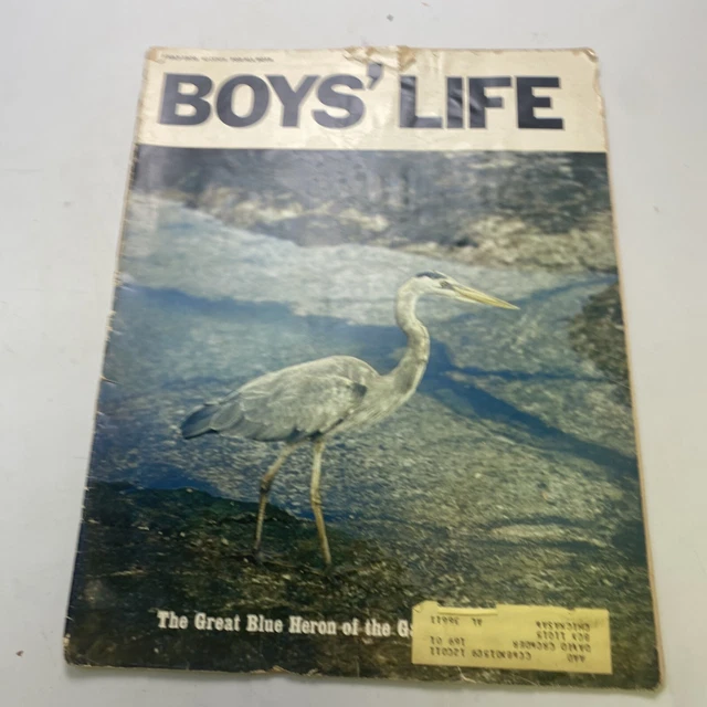 BOYS' LIFE MAGAZINE 1970 JULY -Scout- Heron Galapagos -Bernard Wiseman ...