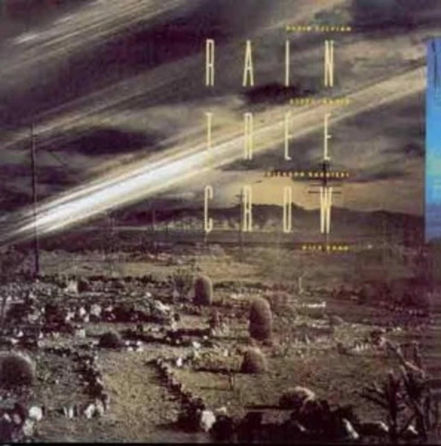 DAVID SYLVIAN RAIN Tree Crow (1991) (CD) EUR 331,33 - PicClick FR