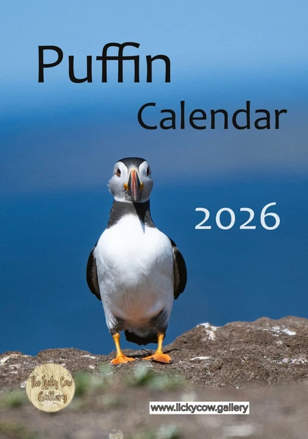 PUFFIN WALL CALENDAR 2026 A4 Spiral Bound with hanger £10.00 - PicClick UK