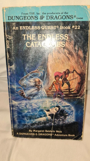 RARE DUNGEONS & DRAGONS Endless Quest book #22 THE ENDLESS CATACOMBS ...