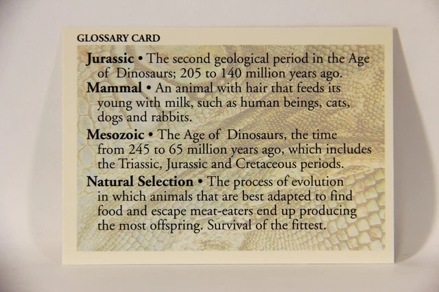 DINOSAURS THE MESOZOIC Era 1993 Vintage Card Glossary #3 J-P ENG ...