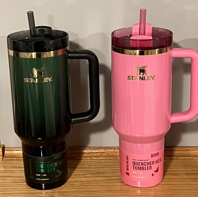 STANLEY X WICKED Elphaba And Glinda 40oz Tumbler Target Exclusive ...