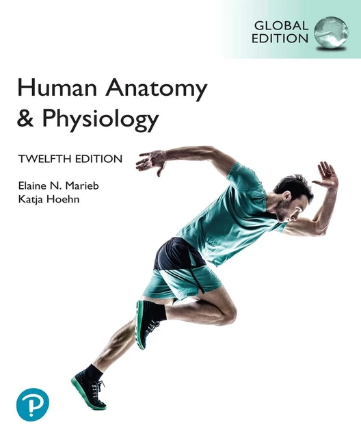 HUMAN ANATOMY & Physiology, 11th Edition, By Marieb / Hoehn book ...