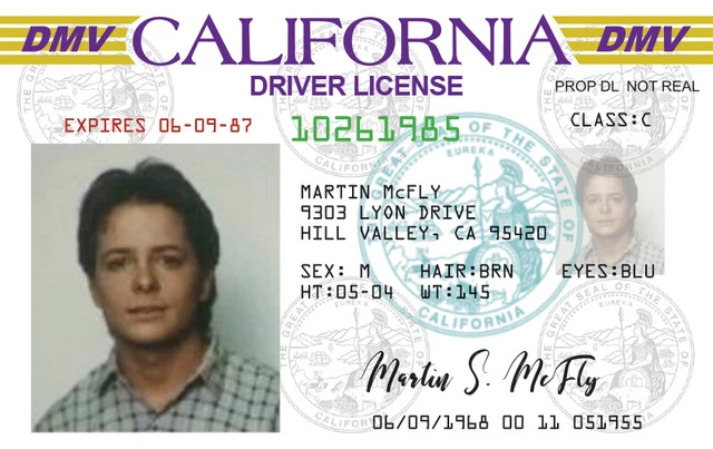 MARTY MCFLY DRIVERS License - Realistic ID Card Back to the Future ...