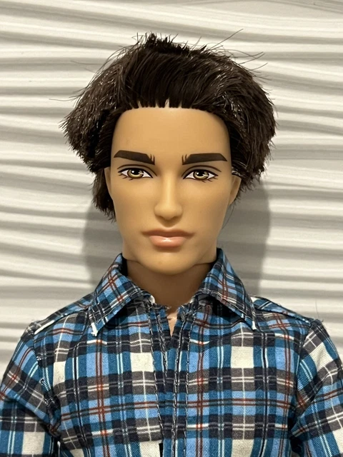 BARBIE LIFE IN The Dream House Ryan Ken Doll Rare £69.99 - PicClick UK