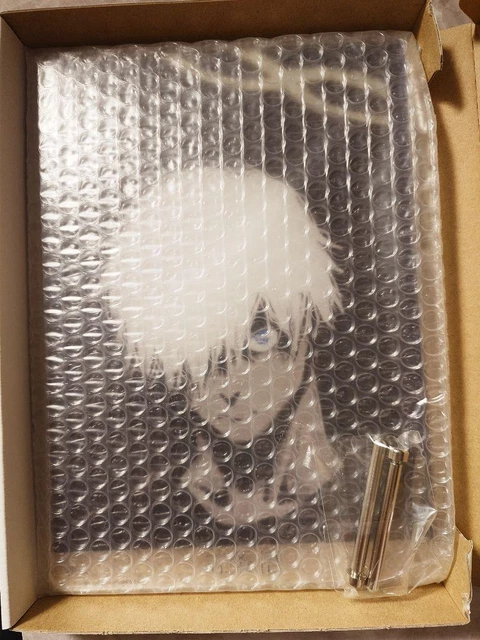JUJUTSU KAISEN SATORU Gojo Portrait Of A Certain Man Acrylic Panel $191 ...