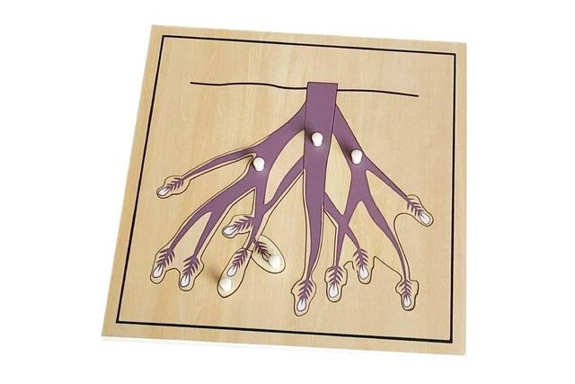 ROOT PUZZLE - MONTESSORI BIOLOGY / BOTANY MATERIALS $9.00 - PicClick CA
