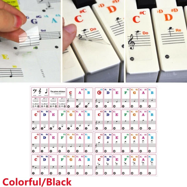 CLEAR LAMINATED KEYBOARD Stickers for 37/49/54/61/88 Key Improve Your ...