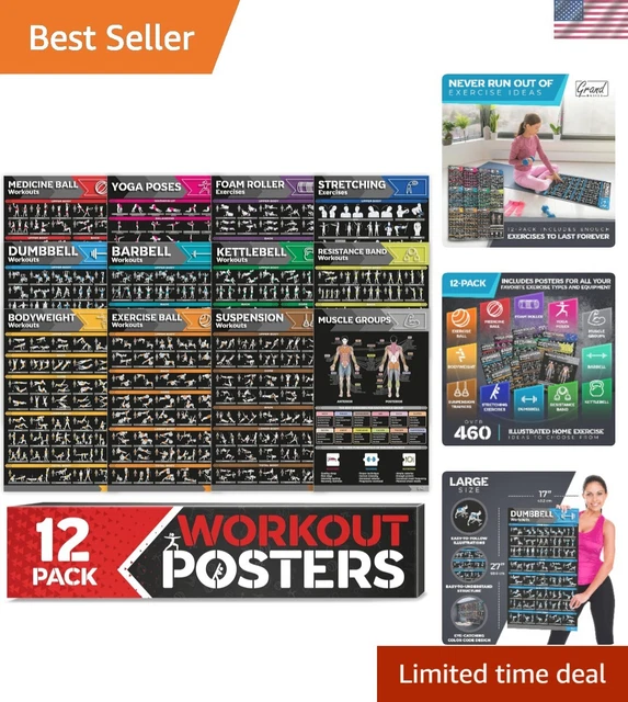 12-PACK] LAMINATED LARGE Workout Poster Set - Perfect Workout Posters ...