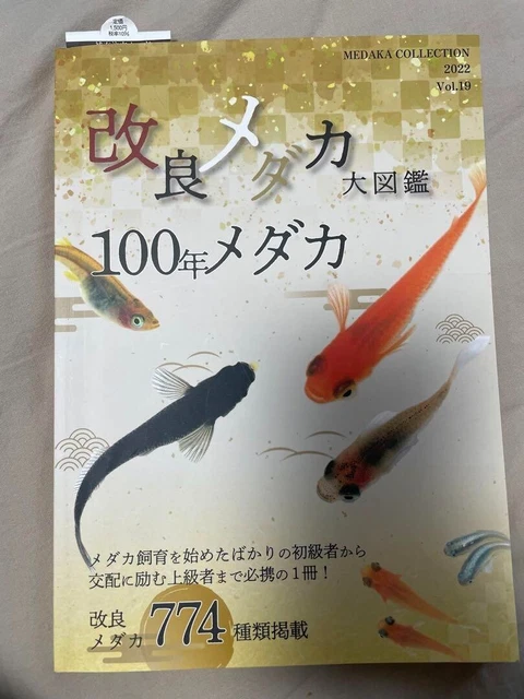 100 YEARS OF Medaka varieties Medaka Collection 2022 Rice Fish Magazine ...
