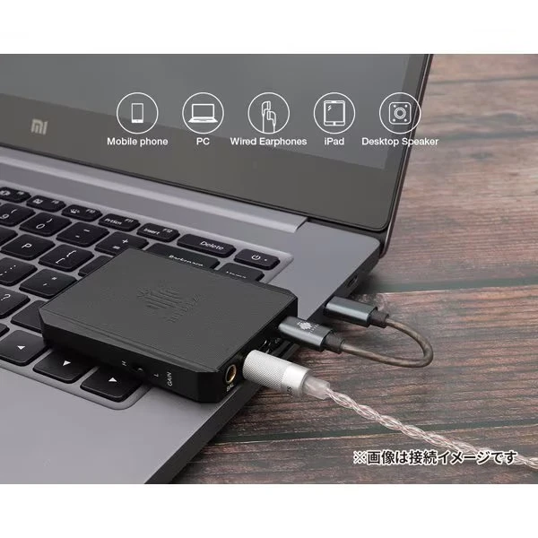 HIDIZS PORTABLE DAC & Amplifier Red DH80SRED EUR 259,74 - PicClick FR