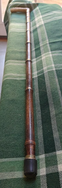 ANTIQUE EDWARDIAN ANTLER horn cane sections silver collar walking stick ...