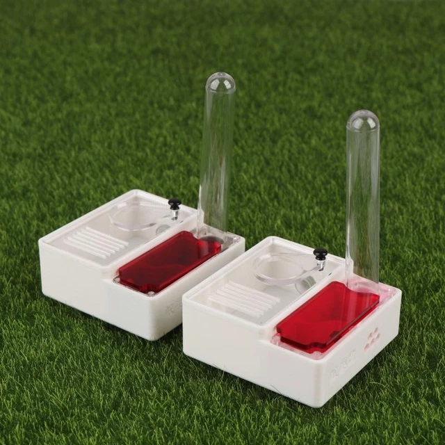 3D PRINTED ANT Farm Queen Ant's Nest Supplies For Beginner Ant Keepers ...