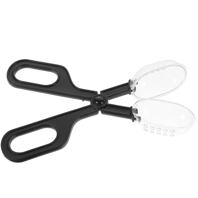 PINZA RETTILIANA PER cibo e feci, lucertola EUR 5,12 - PicClick IT