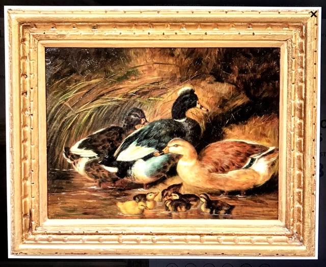 ANTIQUE OIL ON Canvas Board Painting Ducks Ducklings Pond William ...