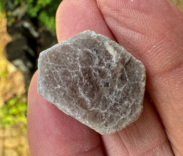 RUBY NATURAL ROUGH UNPOLISHED STONE 26mm x 17mm BAG & ID CARD 9.6gram £ ...