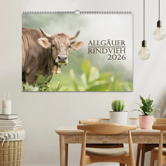 JULIANE WANDEL | Allgäuer Rindvieh 2026 (Wandkalender 2026 DIN A2 quer ...