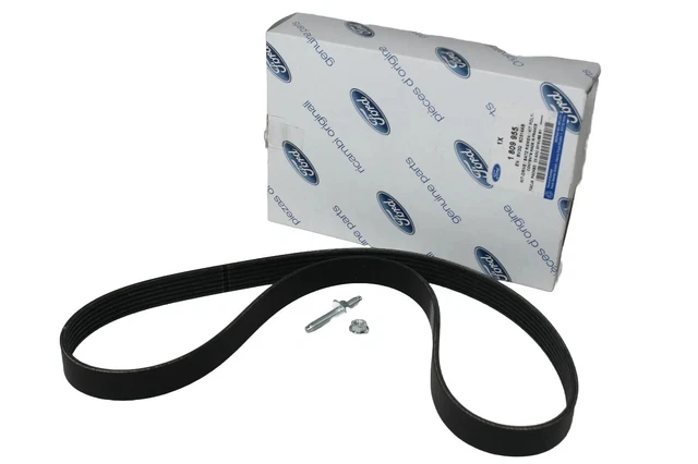 ORIGINAL KEILRIPPENRIEMEN 16V Benzinmotor Ford Fiesta Bj 7/2011 - 5/ ...