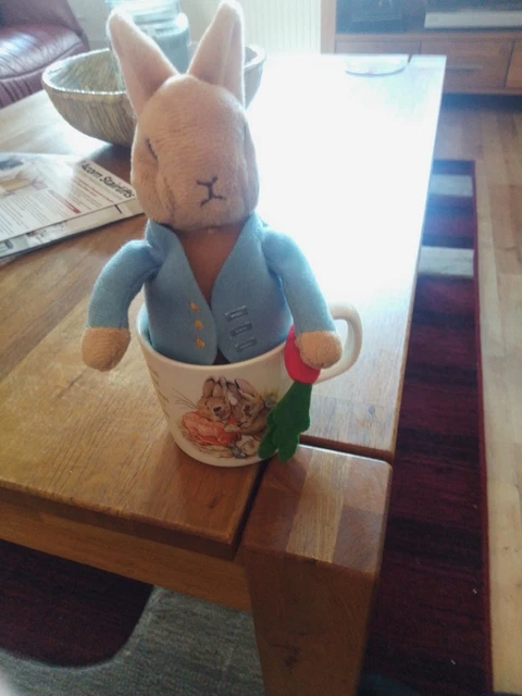 PETER RABBIT PLUSH Toy Blue Jacket Beatrix Potter 2021 Excellent ...