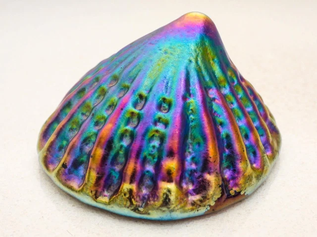 COLIN HEANEY IRIDESCENT LARGE Glass Shell Paperweight - Australia $110. ...