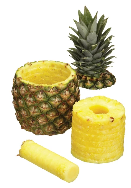 STAINLESS STEEL PINEAPPLE Corer / Slicer / Peeler Silver/Black £21.99 ...
