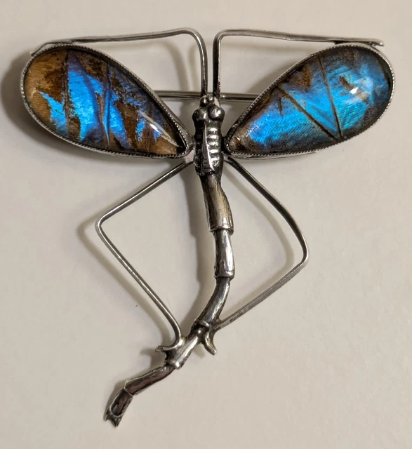 ANTIQUE THOMAS.L.MOTT SILVER & Blue Morpho Butterfly Wing Dragonfly Pin ...