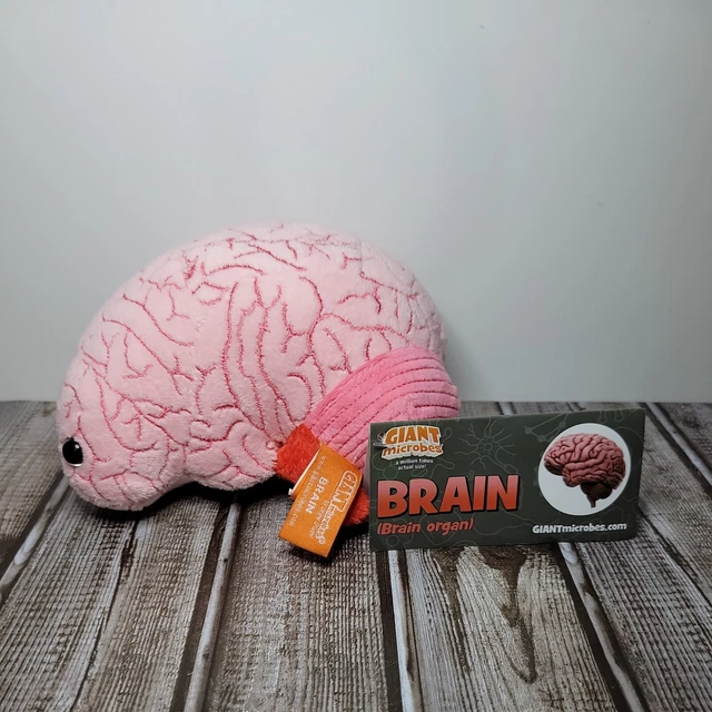 GIANT MICROBES BRAIN Organ Plush Stuffed Toy Medical Gag Gift £12.27 ...