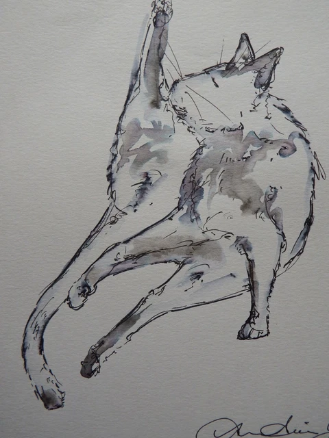 ORIGINAL SMALL PEN & ink wash drawing on ivory paper of cat cleaning ...