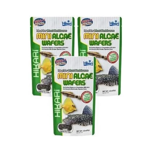 HIKARI USA ALGAE Wafers Sinking Wafer Fish Food 3 oz, Mini (3 Pack) £20 ...