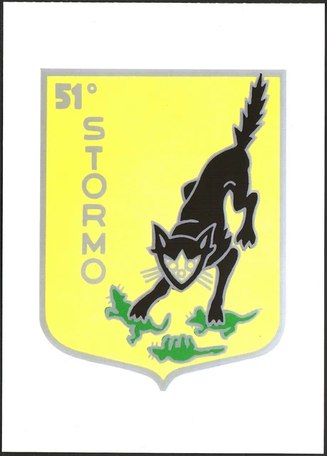 AERONAUTICA MILITARE AVIAZIONE - Stemma - 51° Stormo EUR 2,90 - PicClick FR