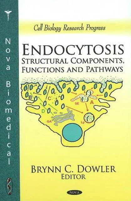 ENDOCYTOSIS: STRUCTURAL COMPONENTS, Functions & Pathways by Brynn C ...