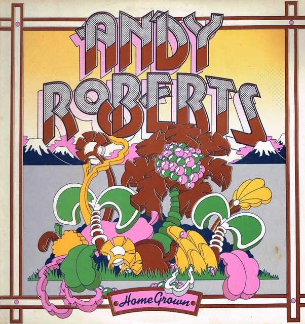 ANDY ROBERTS (FOLK Singer) Home Grown LP vinyle Royaume-Uni B&C 1971 ...