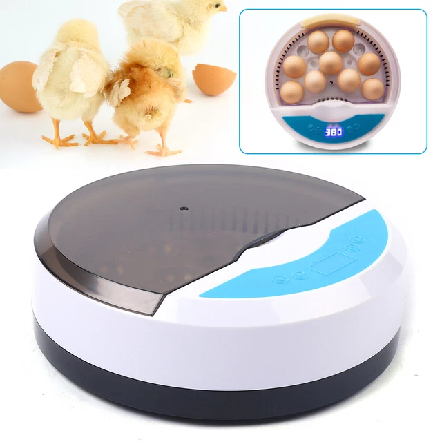 INCUBATRICE UOVA MINI Smart Eggs 9 incubatrice incubatrice incubatrice ...