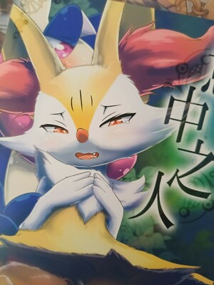 DOUJINSHI KEMONO POKEMON Kawazoko (B5 - 40 Pages) Braixen x Greninja ...