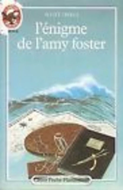 L'ÉNIGME DE L'AMY Foster | O'Dell Scott | Très bon état EUR 3,99 ...