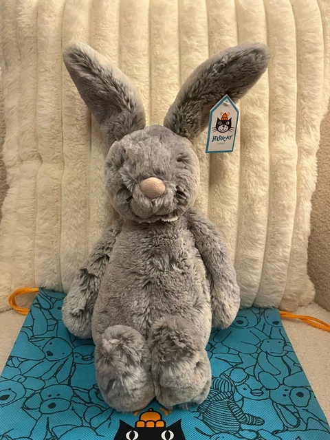 JELLYCAT BNWT &I am Hugo Hare" Medium WW3H Retired Rare Woodland Rabbit ...